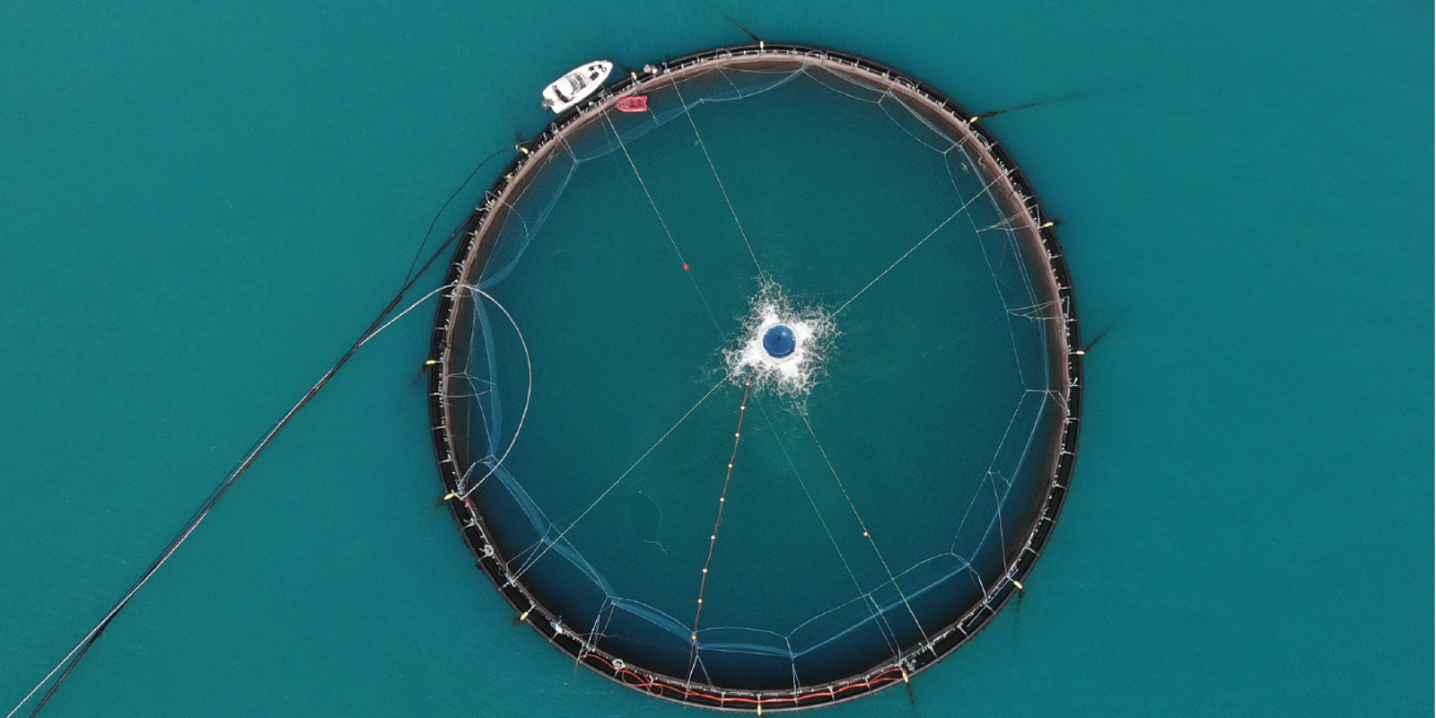 Why Framo Aquaculture Solutions? | Sustainable Growth Support | Framo